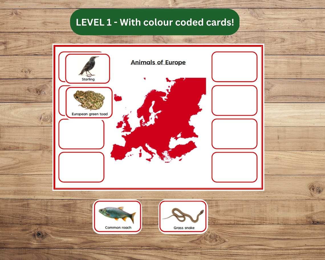 Animals of the Continents Sorting Set 7 Continent Activity Mats 108 ...