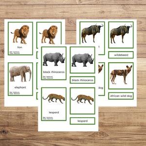 Animals of Africa 36 Montessori Three Part Cards 36 Control Cards ...