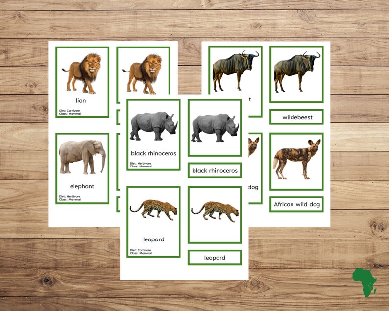 Animals of Africa | 36 Montessori 3-part Cards With Control Card - Etsy