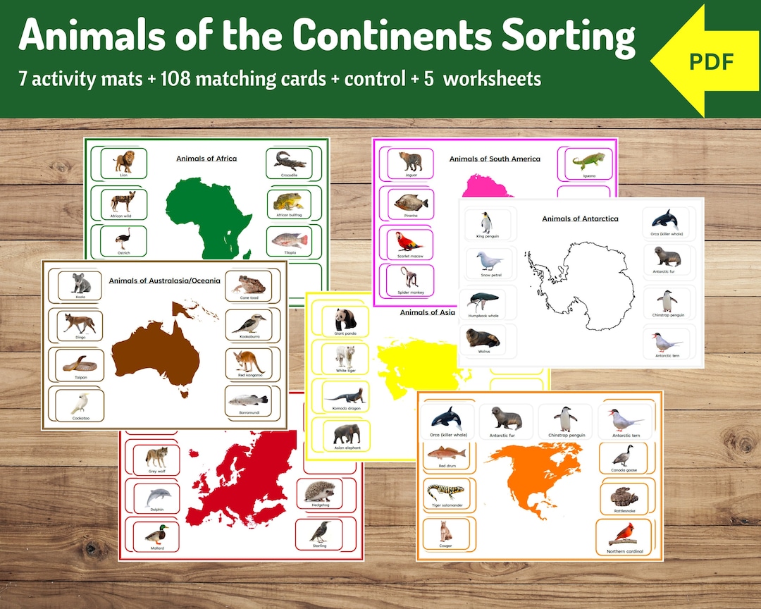 Animals of the Continents Sorting Set 7 Continent Activity - Etsy