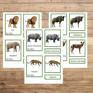 African Continent Bundle 144 Montessori Three Part Cards 54 Description ...