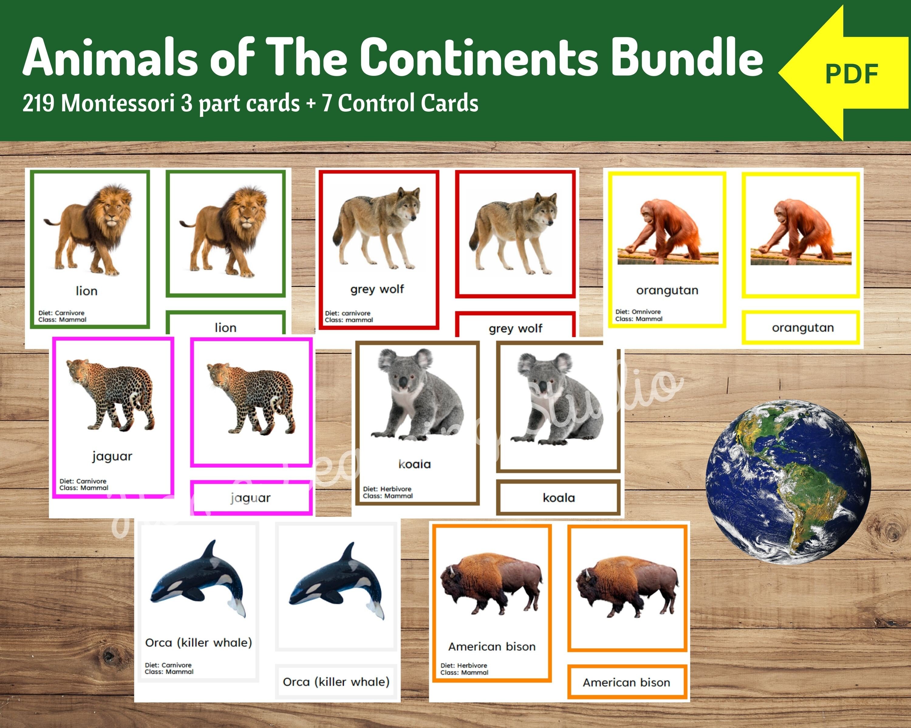 Animals of the Continents Mega Bundle | 219 Montessori Cards | Wildlife ...