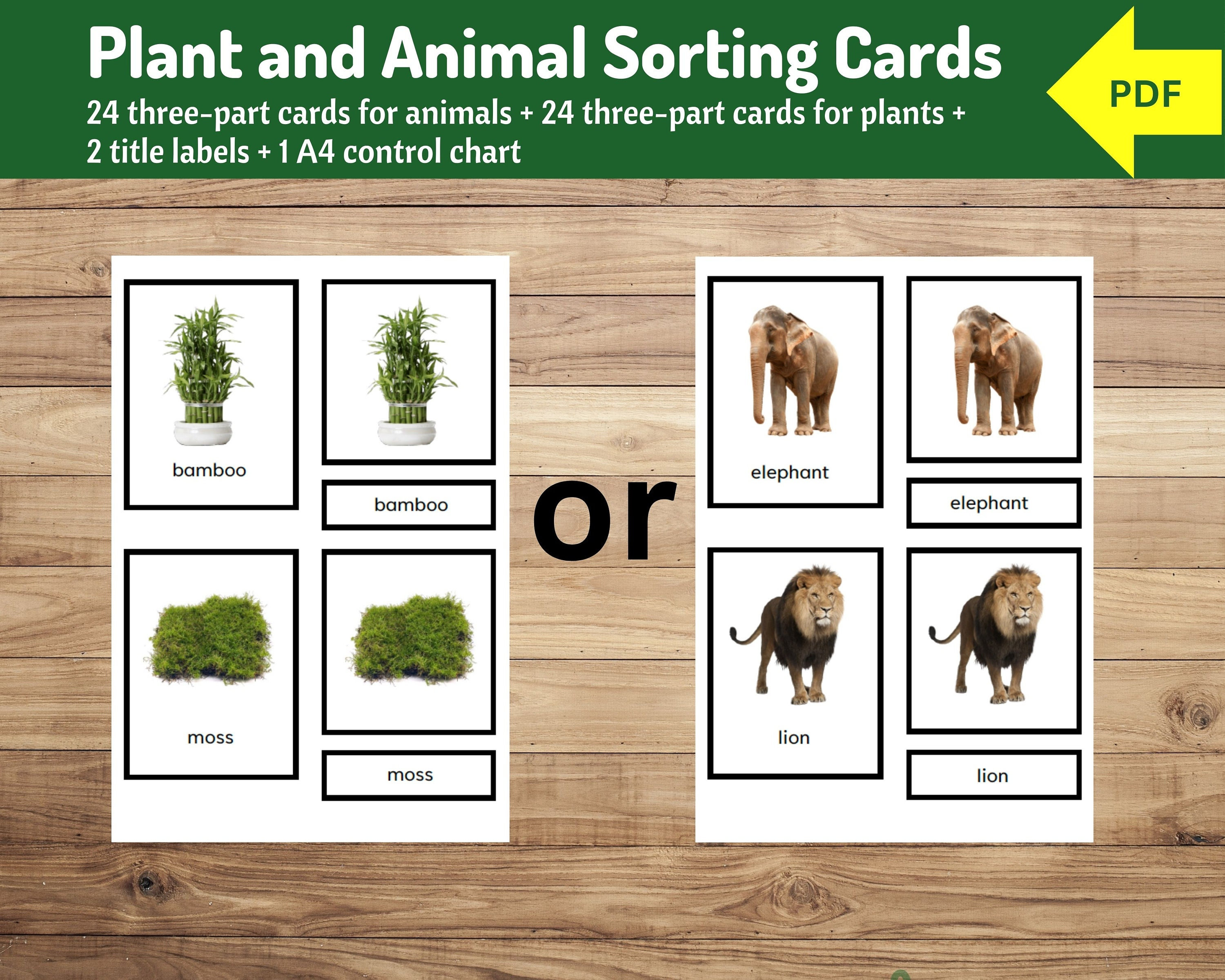 Montessori Plant and Animal Sorting Cards - Hands-on Biology Lesson for ...