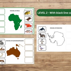 Animals of the Continents Sorting Set | 7 Mats + 108 Animal Cards + 5 ...