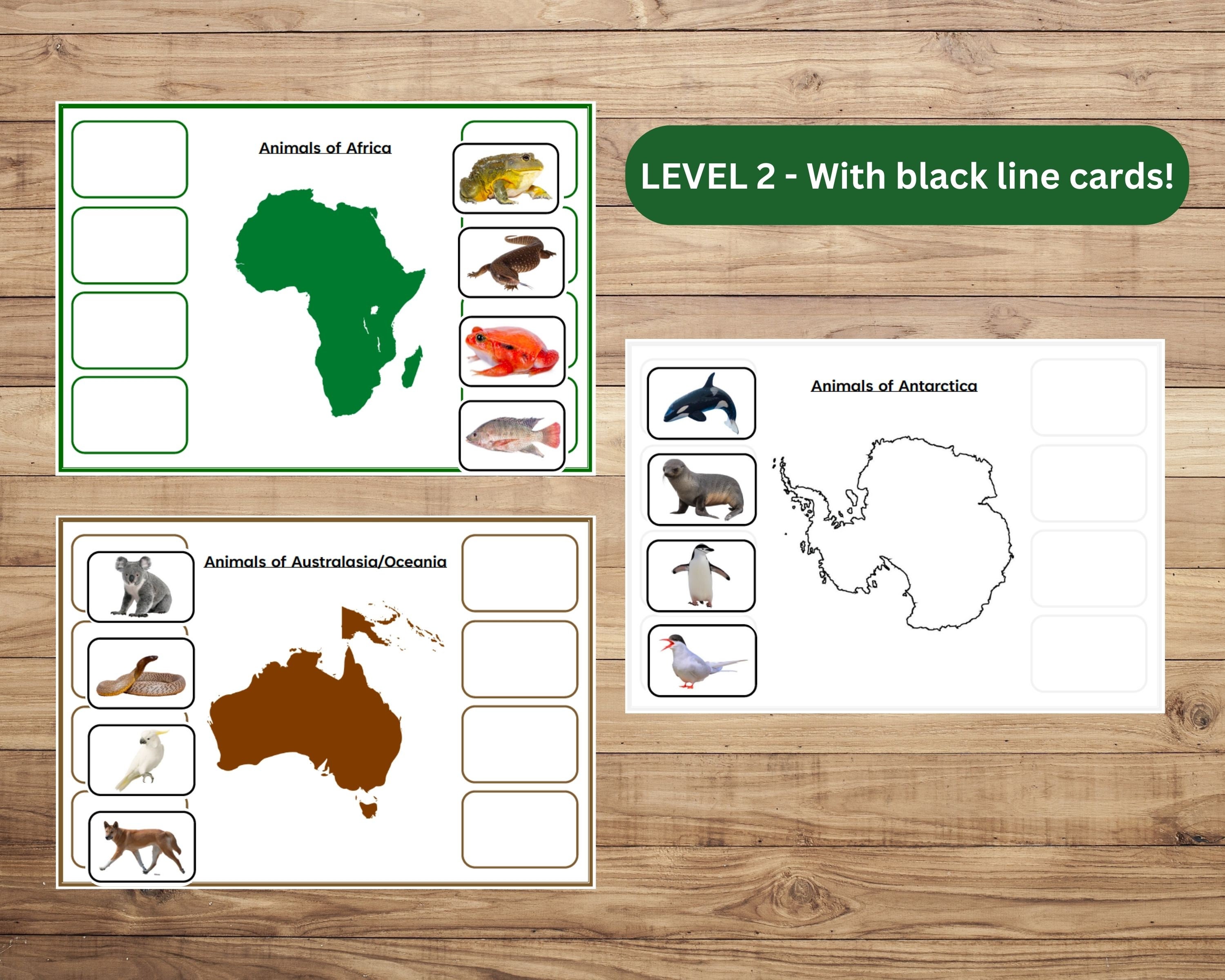 Animals of the Continents Sorting Set | 7 Mats + 108 Animal Cards + 5 Worksheets - Etsy