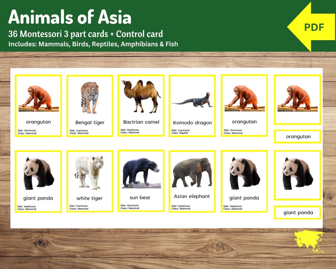 Animals of Asia 36 Montessori 3-part Cards Includes Mammals, Birds ...
