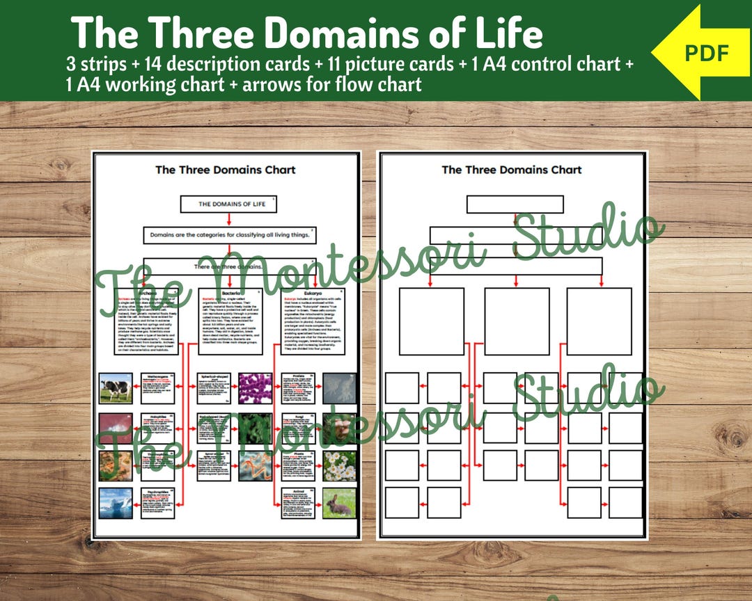 The Three Domains of Life | Biology | Montessori Cards | Classification ...