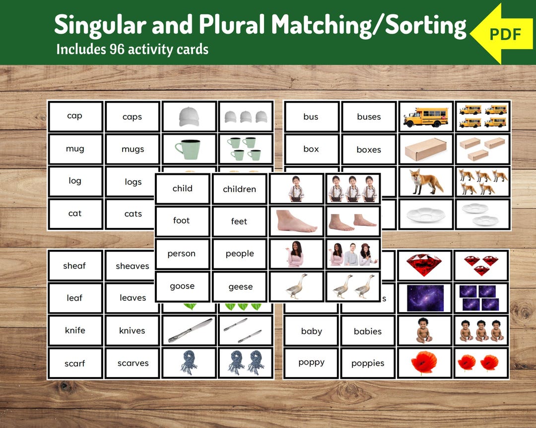 Singular and Plural Cards Set | Montessori Pink Blue Green Series for ...