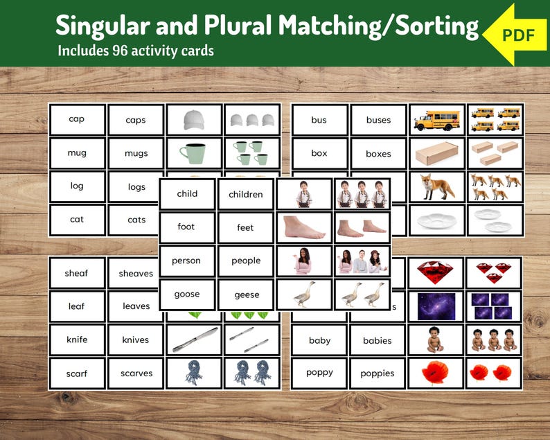 Singular and Plural Cards Set | Montessori Pink Blue Green Series for ...