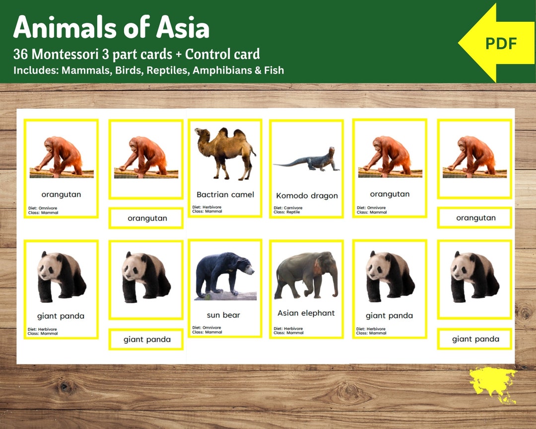 Animals of Asia Montessori 3-part Cards | Geography Learning for Kids ...