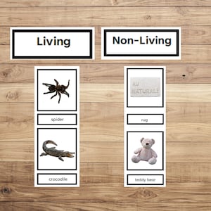 Living and Non-living Sorting Cards | 60 Montessori Picture Cards ...
