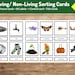 Living and Non-living Sorting Cards | 60 Montessori Picture Cards ...