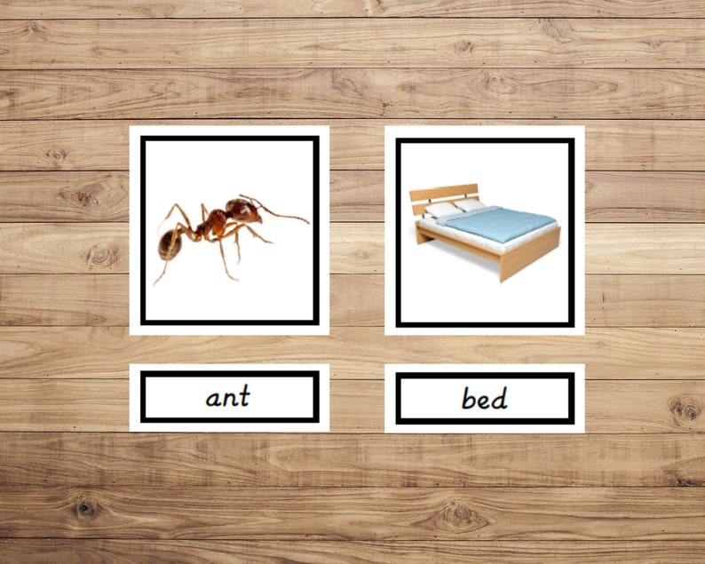 Montessori Alphabet 3-part Cards – Phonics & Alphabet Learning for ...