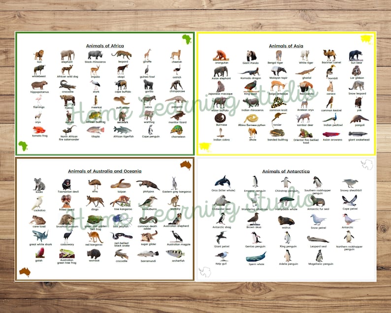 Animals of the Continents Mega Bundle | 219 Montessori Cards | Wildlife ...