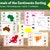 Montessori Sun Game: 54 Sorting Cards 9 Title Cards 2 Control Cards - Etsy