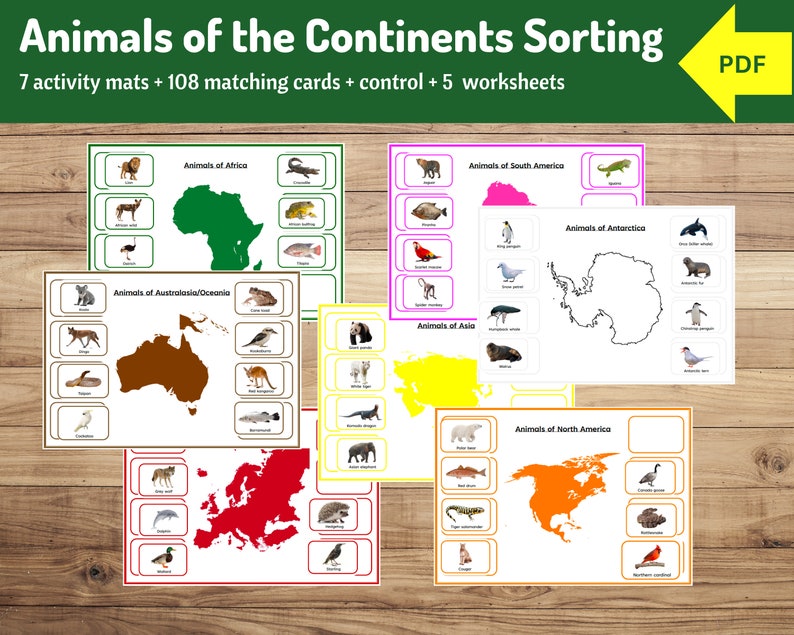 Animals of the Continents Sorting Set | 7 Mats + 108 Animal Cards + 5 ...