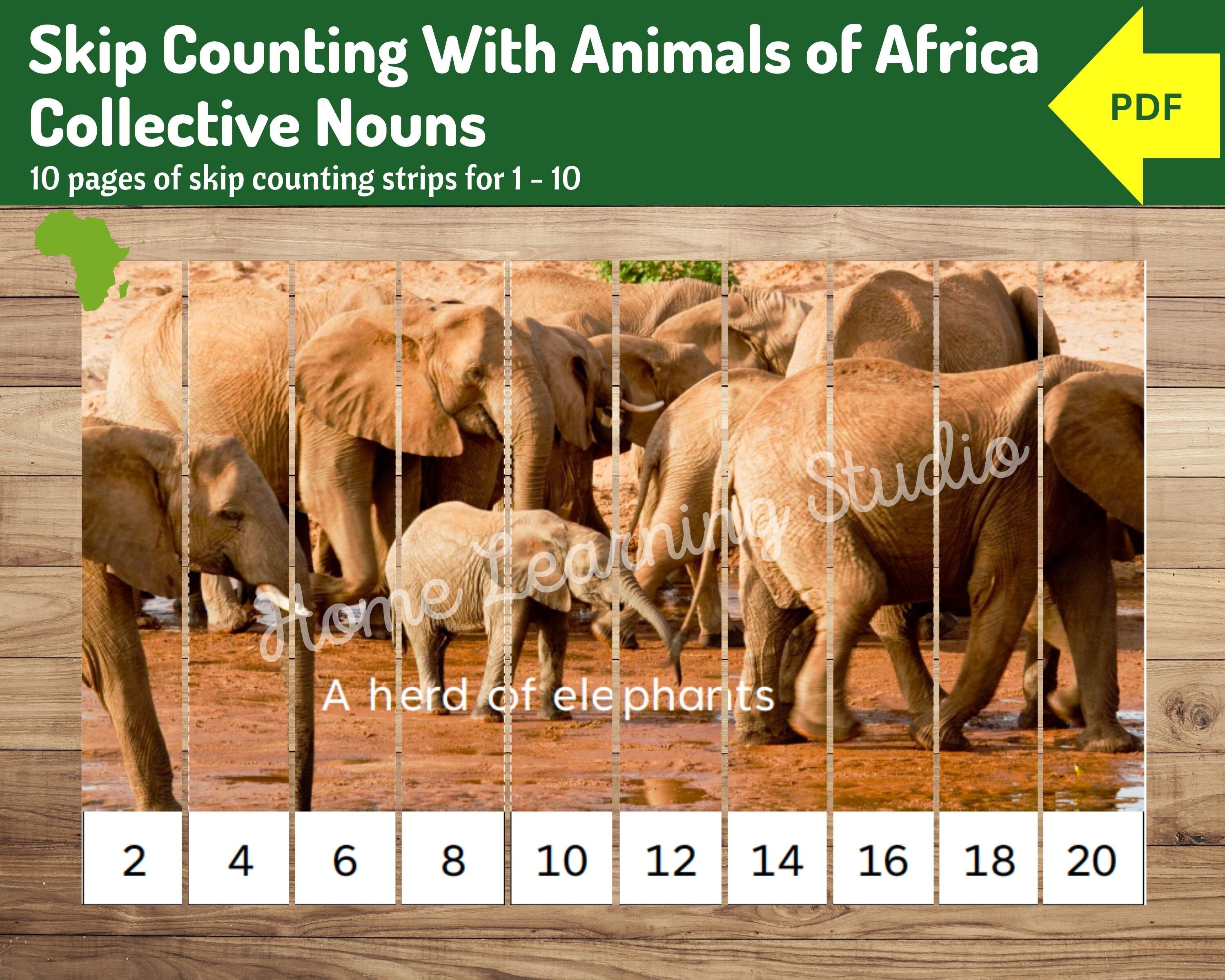 Skip Counting With Animals of Africa | Collective Nouns ...