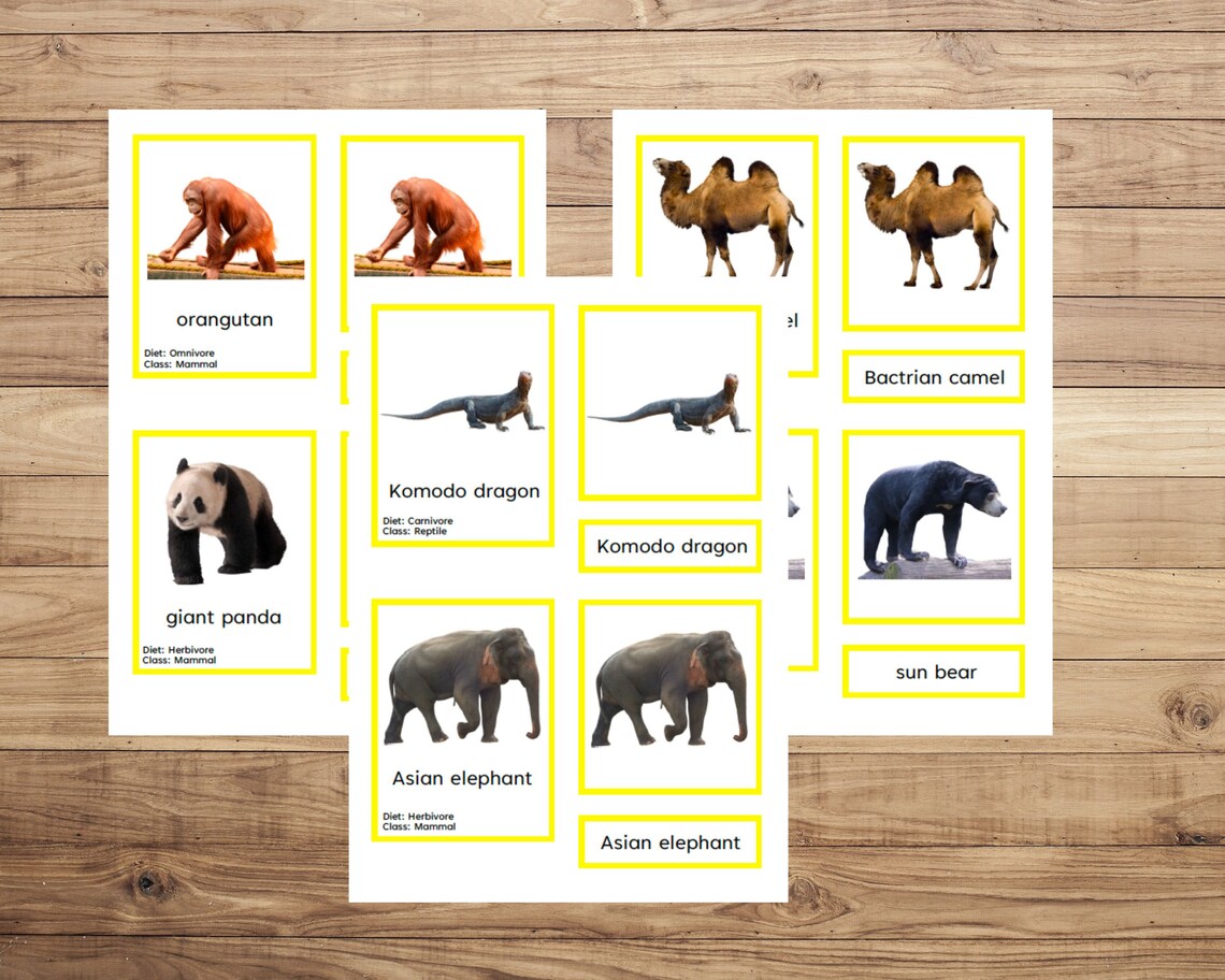 Animals of Asia 36 Montessori 3-part Cards Includes Mammals, Birds ...