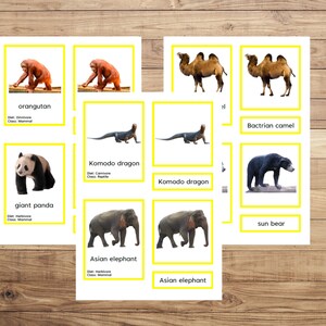 Animals of Asia Montessori 3-part Cards | Geography Learning for Kids ...