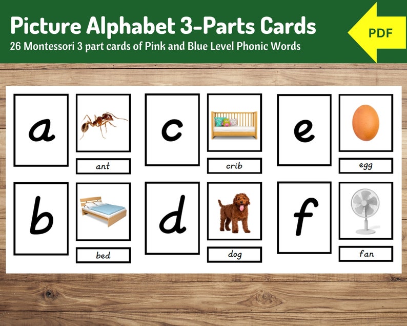 Montessori Alphabet 3-part Cards – Phonics & Alphabet Learning for ...