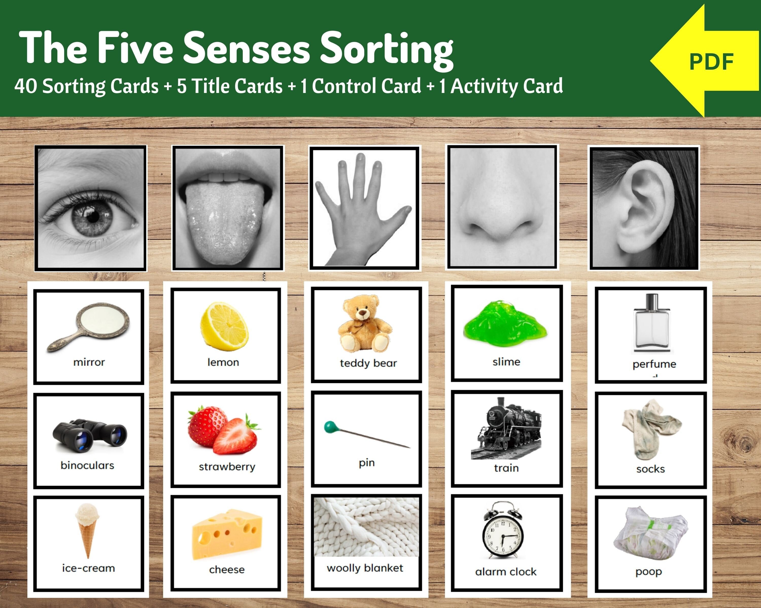 Five Senses Sorting Cards | Montessori Set | Early Learning | 40 Cards ...