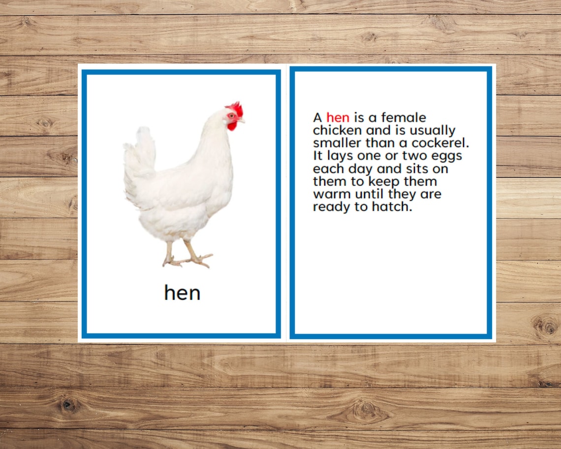 Lifecycle of a Chicken 6 Montessori Three Part Cards Definition Cards ...