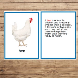 Lifecycle of a Chicken | Montessori 3-part Nomenclature Cards for ...