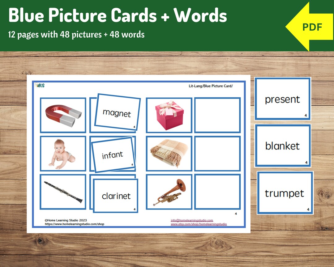 Montessori Blue Series Pictures Card 12 Pages With 48 Pictures & 48 ...