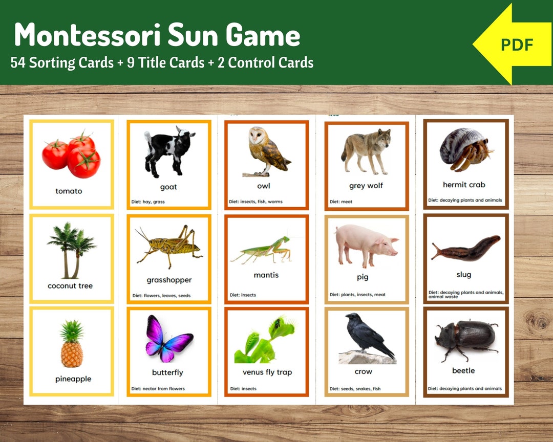 Montessori Sun Game: 54 Sorting Cards + 9 Title Cards + 2 Control Cards ...