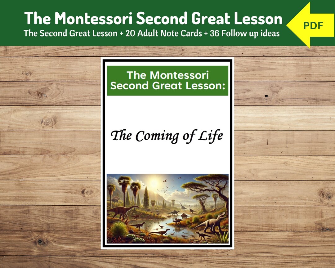 Montessori Second Great Lesson: the Coming of Life + 41 Activities - Etsy