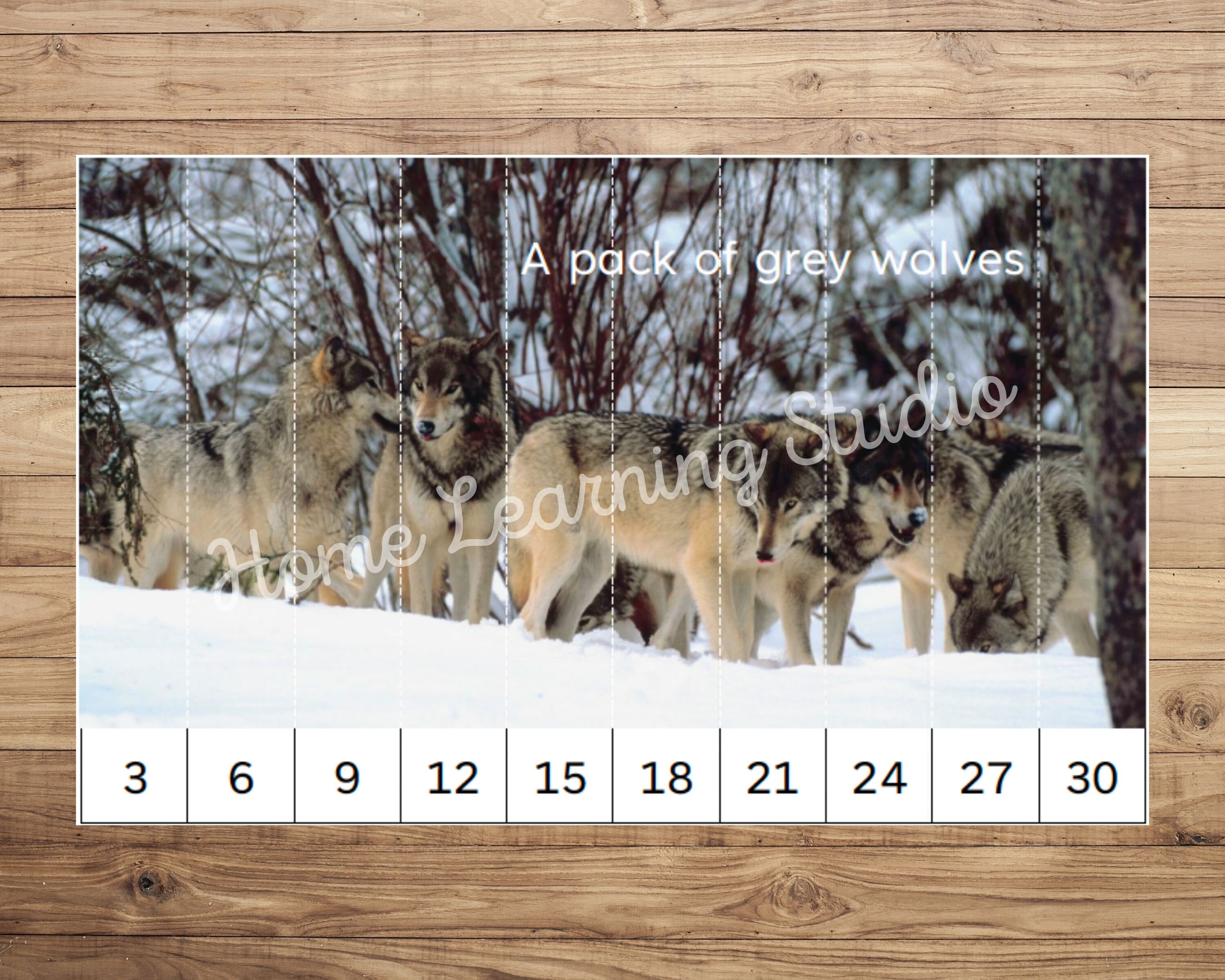 Skip Counting With Animals of Europe | Montessori Multiplication Strips ...