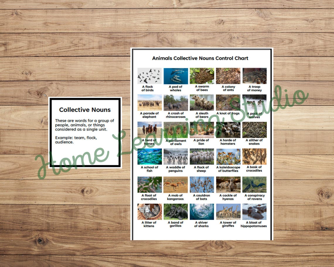 Types of Nouns Complete Bundle: Concrete, Abstract, Proper, Common ...