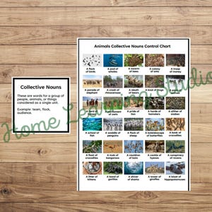 Types of Nouns Complete Bundle: Concrete, Abstract, Proper, Common ...