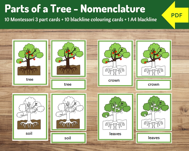 Parts of a Tree - Nomenclature Cards | 10 Montessori 3-part Cards ...
