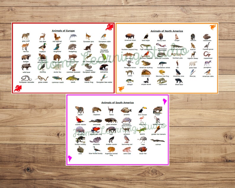 Animals of the Continents Mega Bundle | 219 Montessori Cards | Wildlife ...