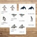 Animals of Antarctica | 24 Montessori 3 Part Cards | Geography for Kids ...