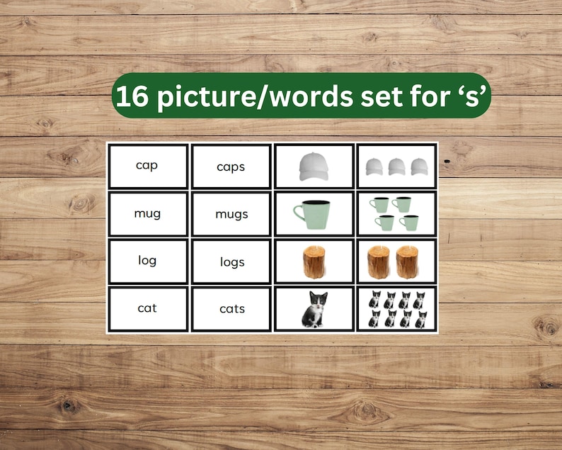 Singular and Plural Cards Set | Montessori Pink Blue Green Series for ...