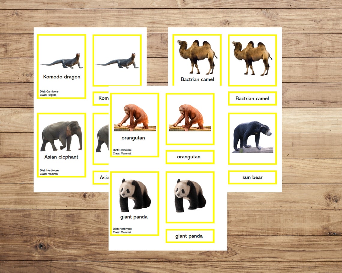 Animals of Asia Montessori 3-part Cards Geography for Kids - Etsy
