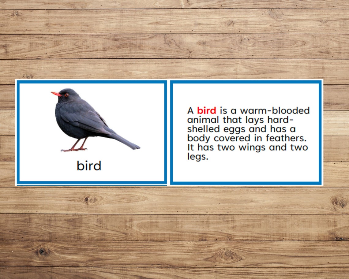 Parts of a Bird 13 Montessori Three Part Cards 13 Description Booklets ...