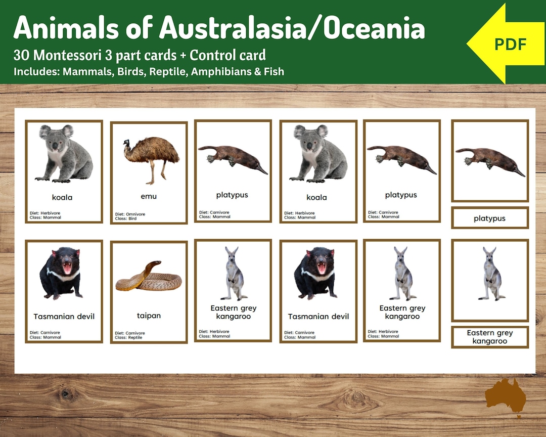 Animals of Australasia/oceania | 30 Montessori 3-part Cards | Continent ...
