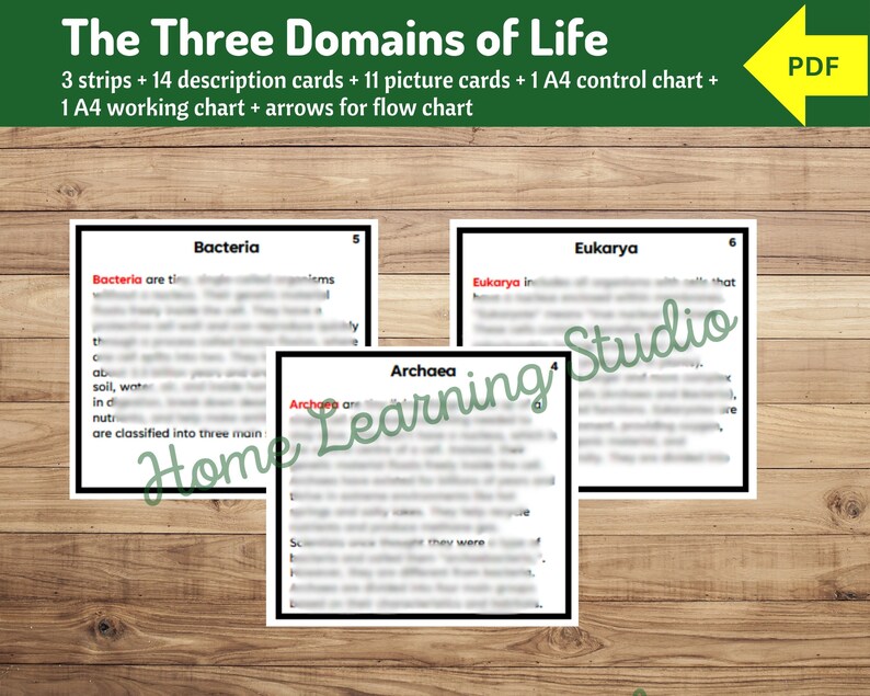 The Three Domains of Life Montessori Bundle - Classify All Living ...