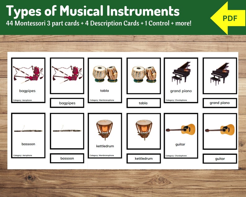 Types of Musical Instruments | Aerophones, Membranophones, Chordophones ...