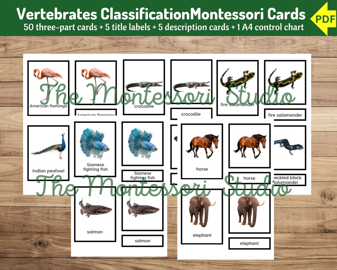 Montessori Vertebrate Classification Cards | Zoology Sorting Printable ...