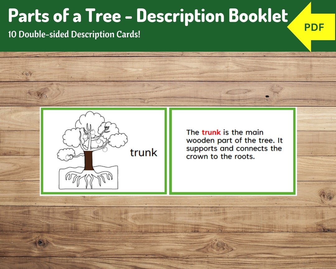 Parts of a Tree - Descriptions Cards/booklet | 10 Definition Cards for ...