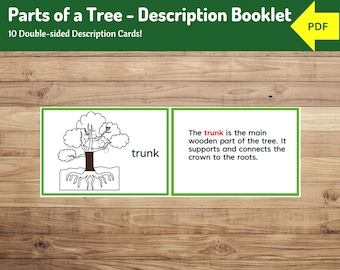 Montessori 3 Part Cards- Parts of a Tree - Etsy
