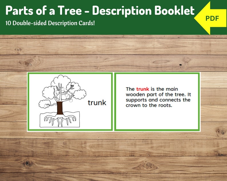 Parts of a Tree - Descriptions Cards/booklet | 10 Definition Cards for ...