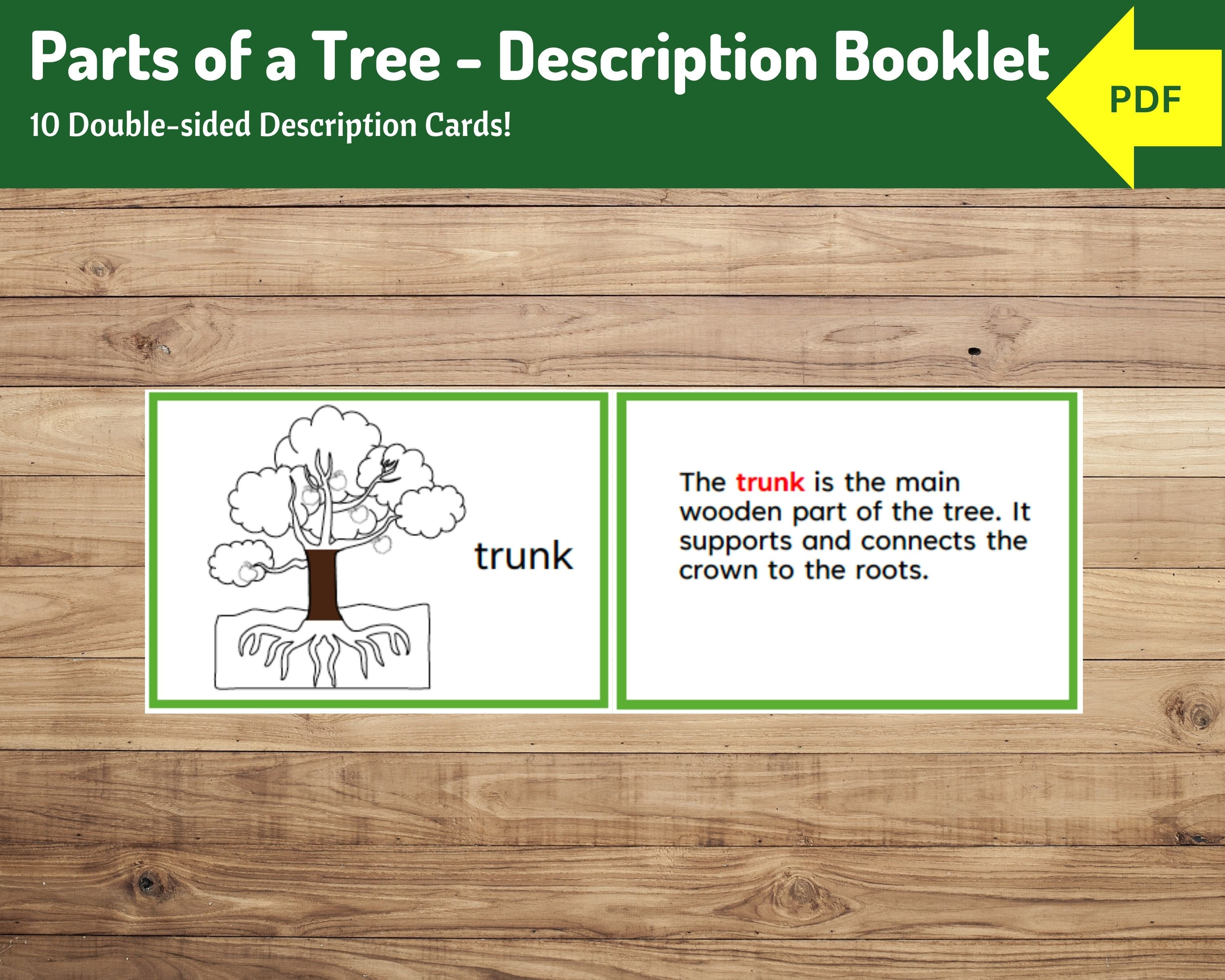 Parts of a Tree - Descriptions Cards/booklet | 10 Definition Cards for ...