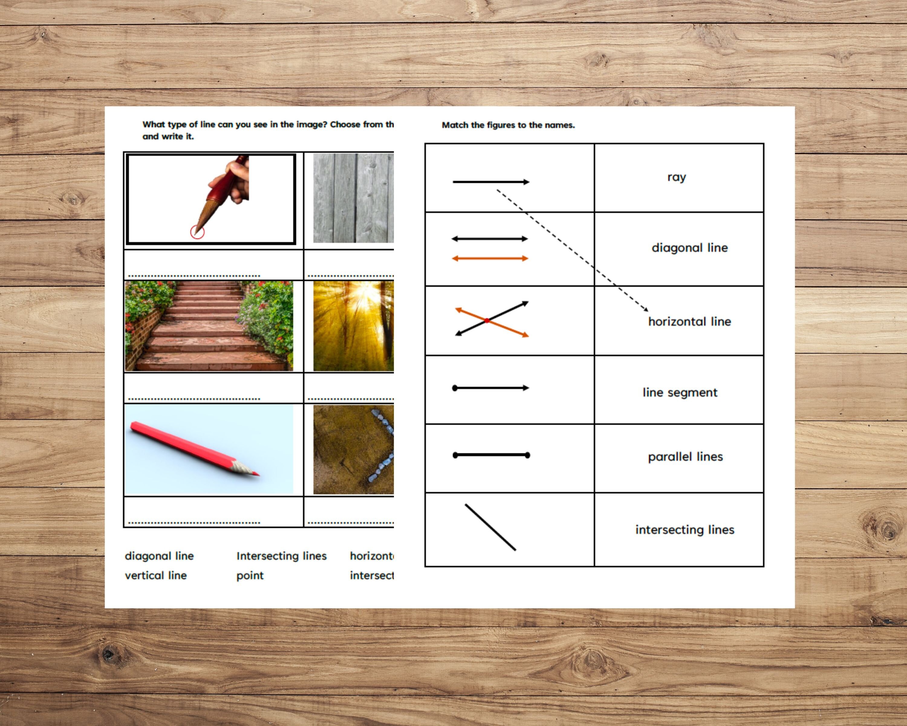Types of Lines | Montessori Geometry Cards & Worksheets | Primary Maths ...