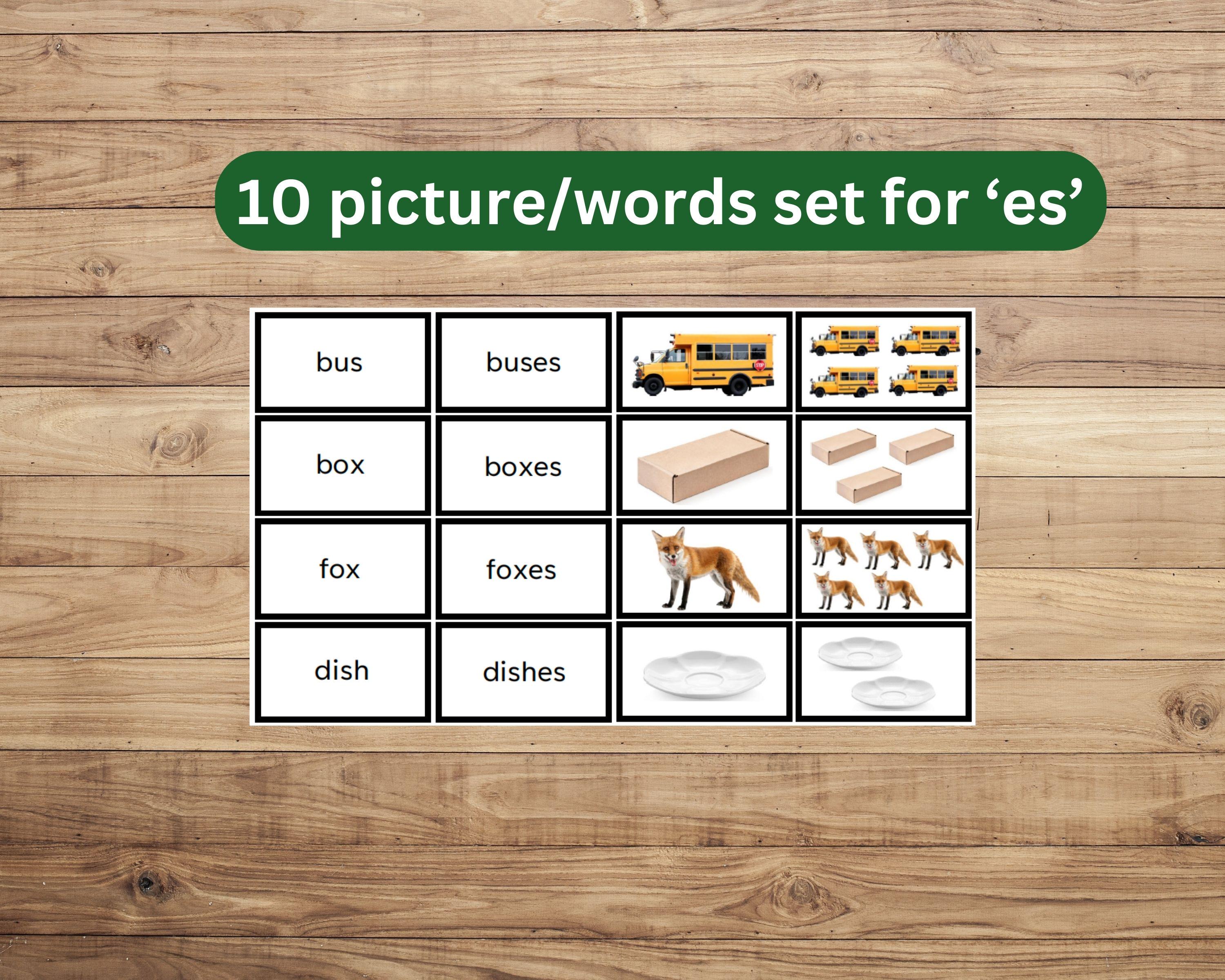 Singular and Plural Cards Set | Montessori Pink Blue Green Series for ...