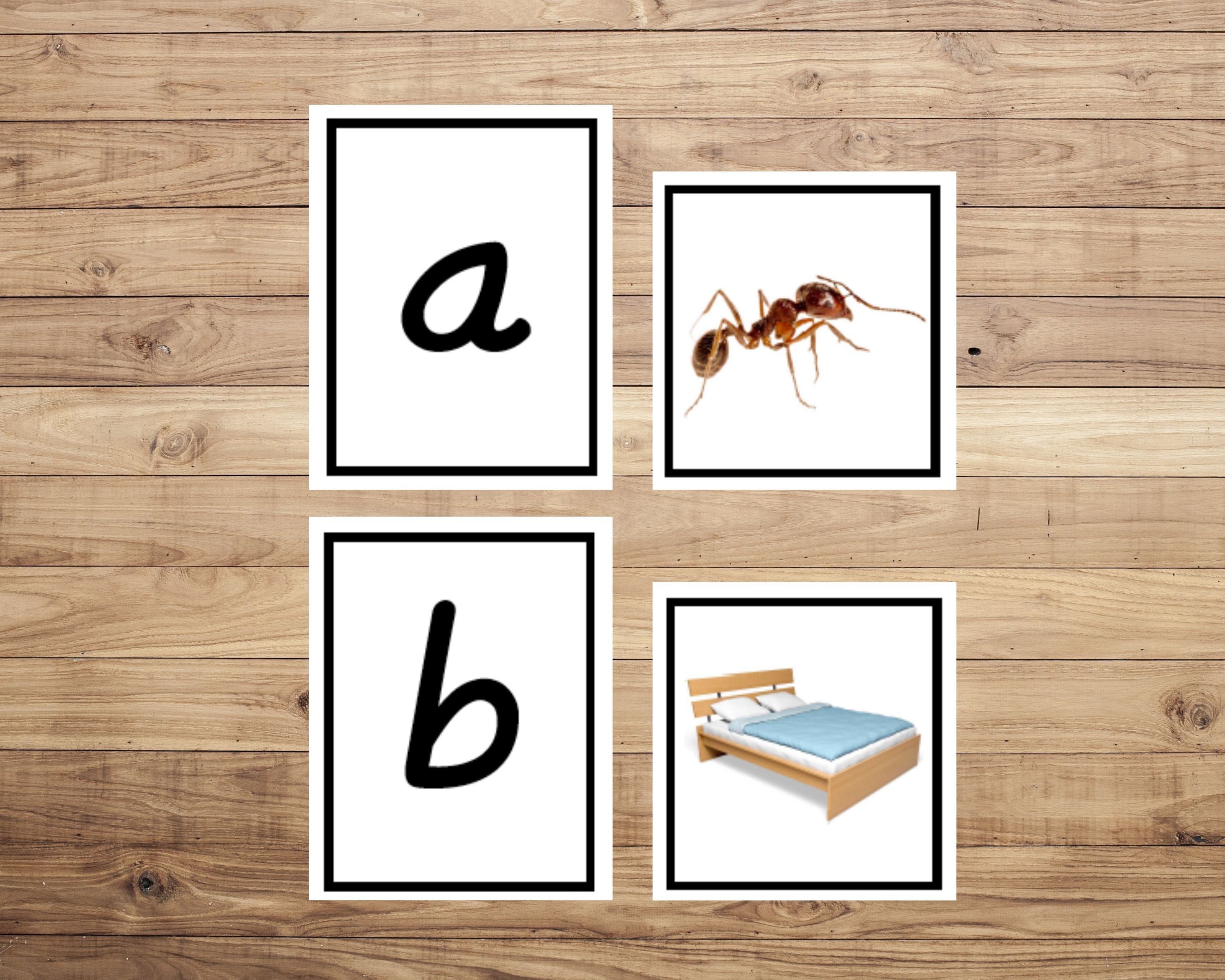 Montessori Alphabet 3-part Cards - Phonics & Alphabet Learning for ...